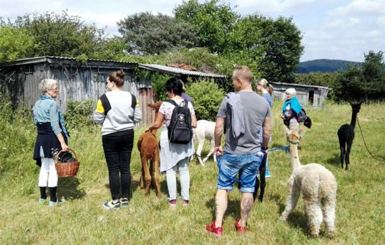 ALPAKAGLÜCK Melchingen